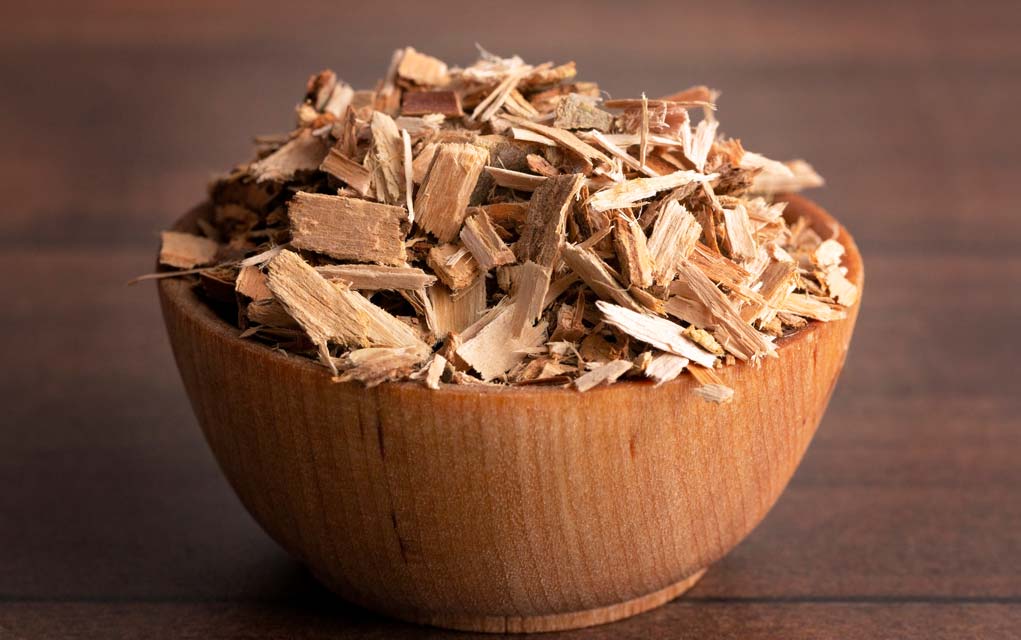 Growing Medicine: Plants That Can Heal | Survival Daily